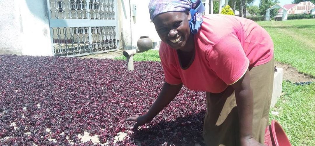 Facts about where we work – Pallisa District – CPAR Uganda