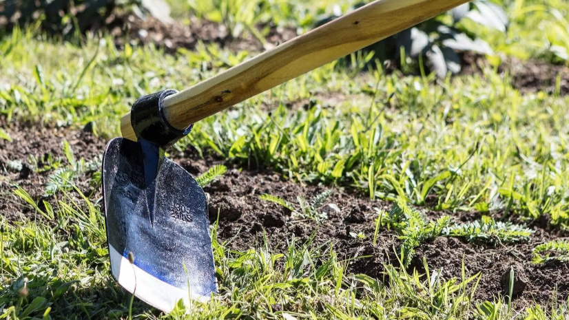 Hand hoe remains among most important inventions – CPAR Uganda