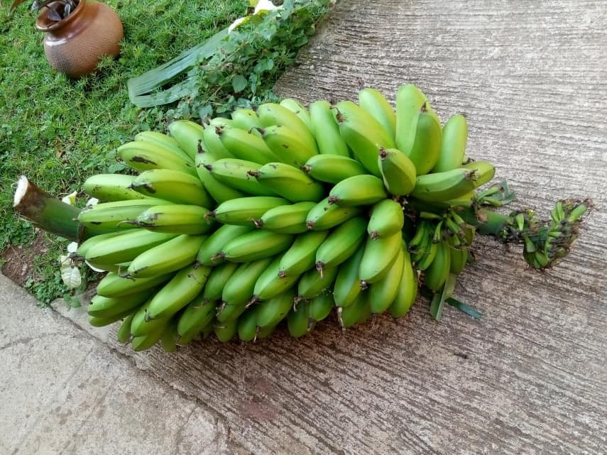 State of food security in Buganda – CPAR Uganda